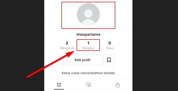 Tik Tok Adalah (Pengertian), Asal, Manfaat, Efek Negatifnya | Social ...